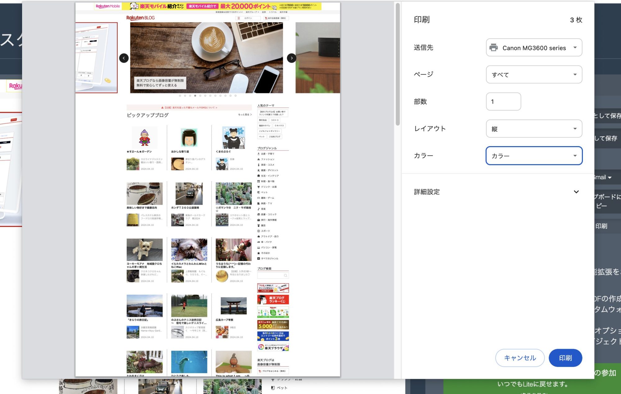 【簡単】ホームページをそのまま印刷する方法 | 中小企業向けWebマーケティング＆ホームページ制作なら合同会社RAISEEEE | 群馬