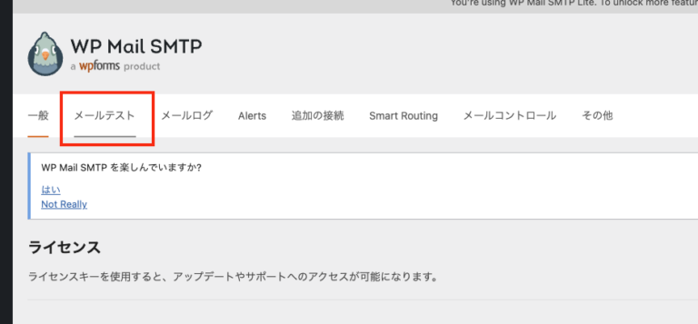 WP Mail SMTPでムームードメインのメールアドレスを設定する方法 | 中小企業向けWebマーケティング＆ホームページ制作なら合同会社RAISEEEE | 群馬